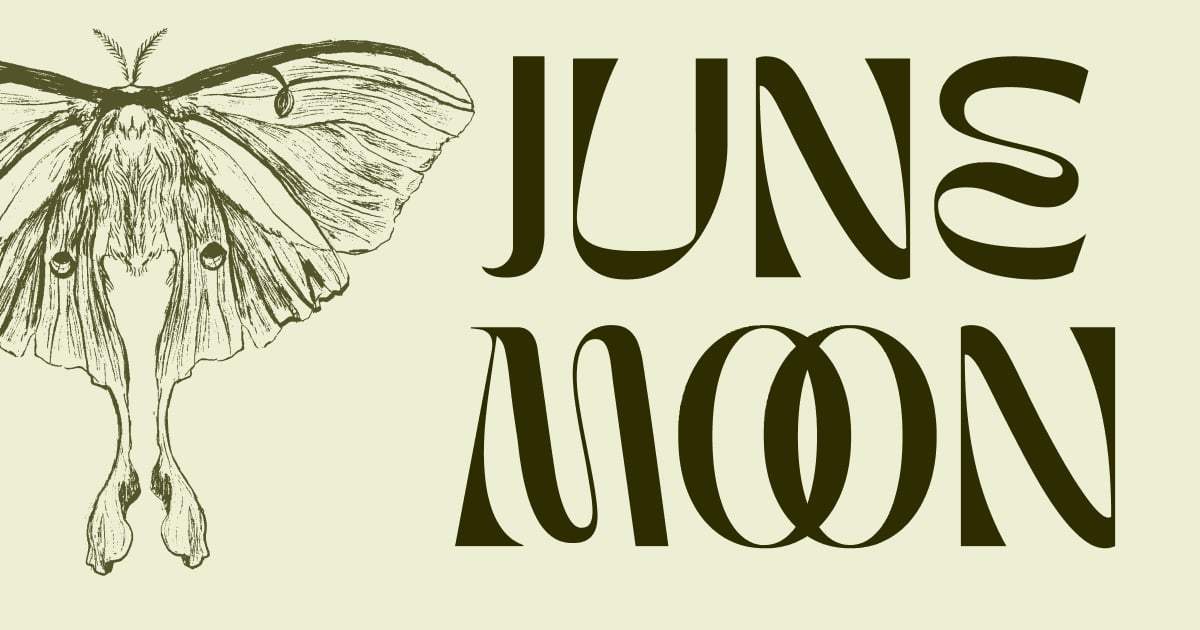 About | June Moon Florals